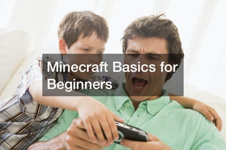 Minecraft Basics for Beginners - How Old Is the Internet