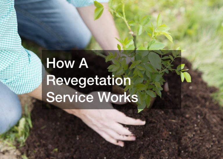 How A Revegetation Service Works - How Old Is the Internet